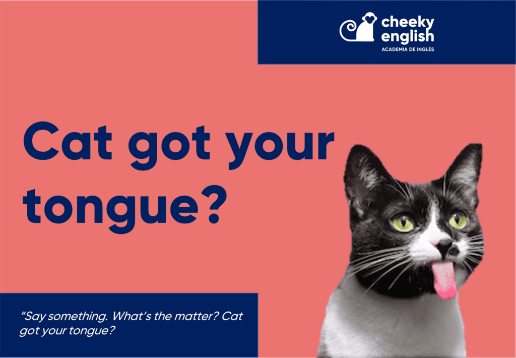 Conversation Starters - Cat got your tongue