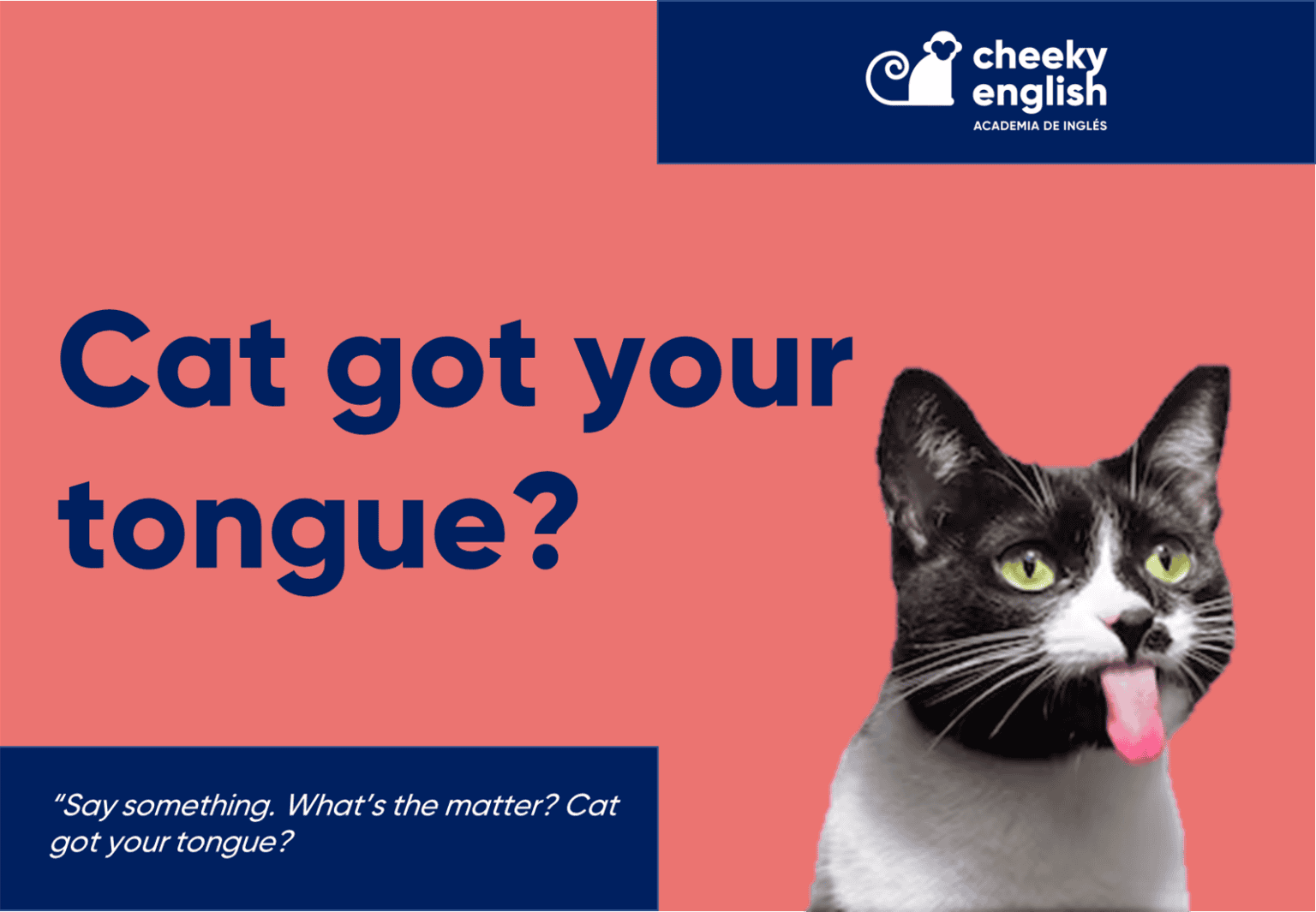 Conversation Starters - Cat got your tongue