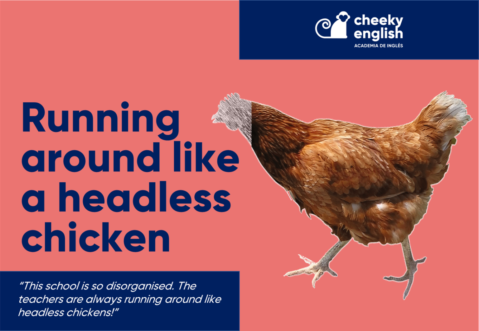 Conversation Starters - Running around like a headless chicken